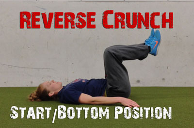 How to do the reverse crunch exercise for 6 pack abs — Fitness Doctrine