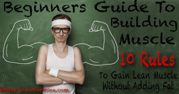 Beginners Guide To Building Muscle — Fitness Doctrine
